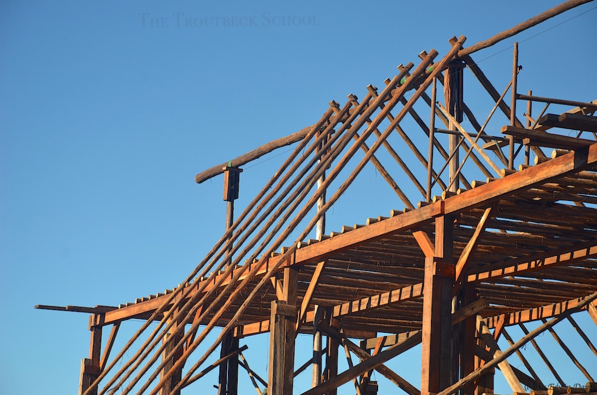 Post and Beam construction – gum pole rafters going over the ridge pole ...