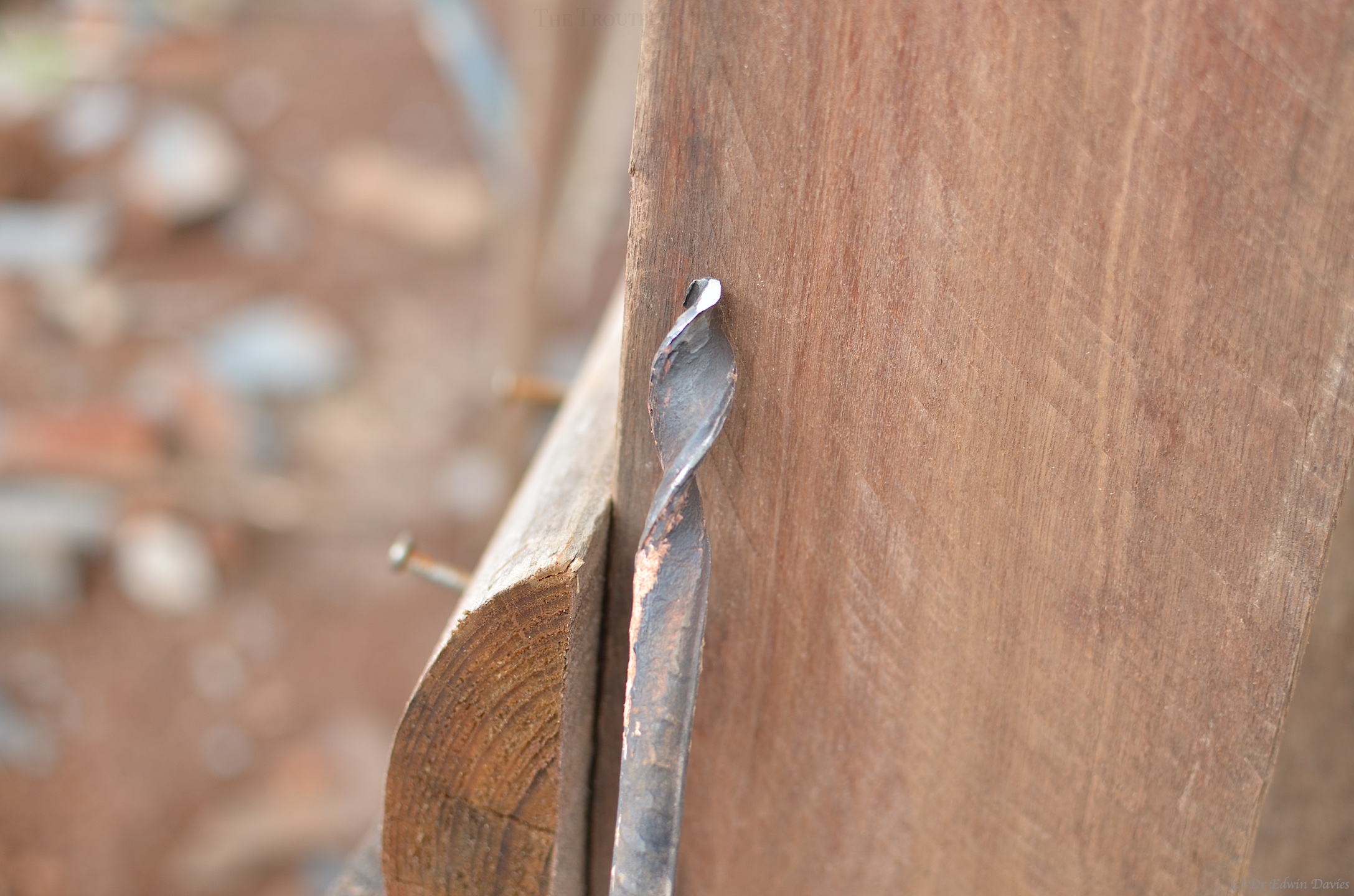 Drilling Eucalyptus with 450 mm rebar drill bit | Eastern Highlander