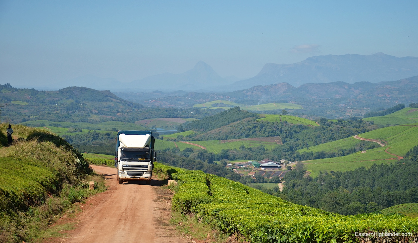 Wamba Tea Estate, Honde Valley, Zimbabwe | Eastern Highlander