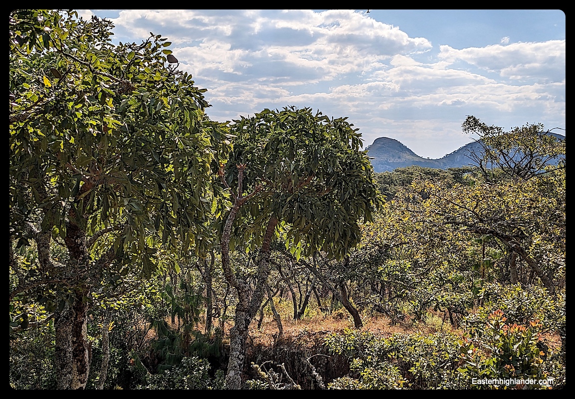 Troutbeck to Nyanga via National Park East of the road | Eastern Highlander