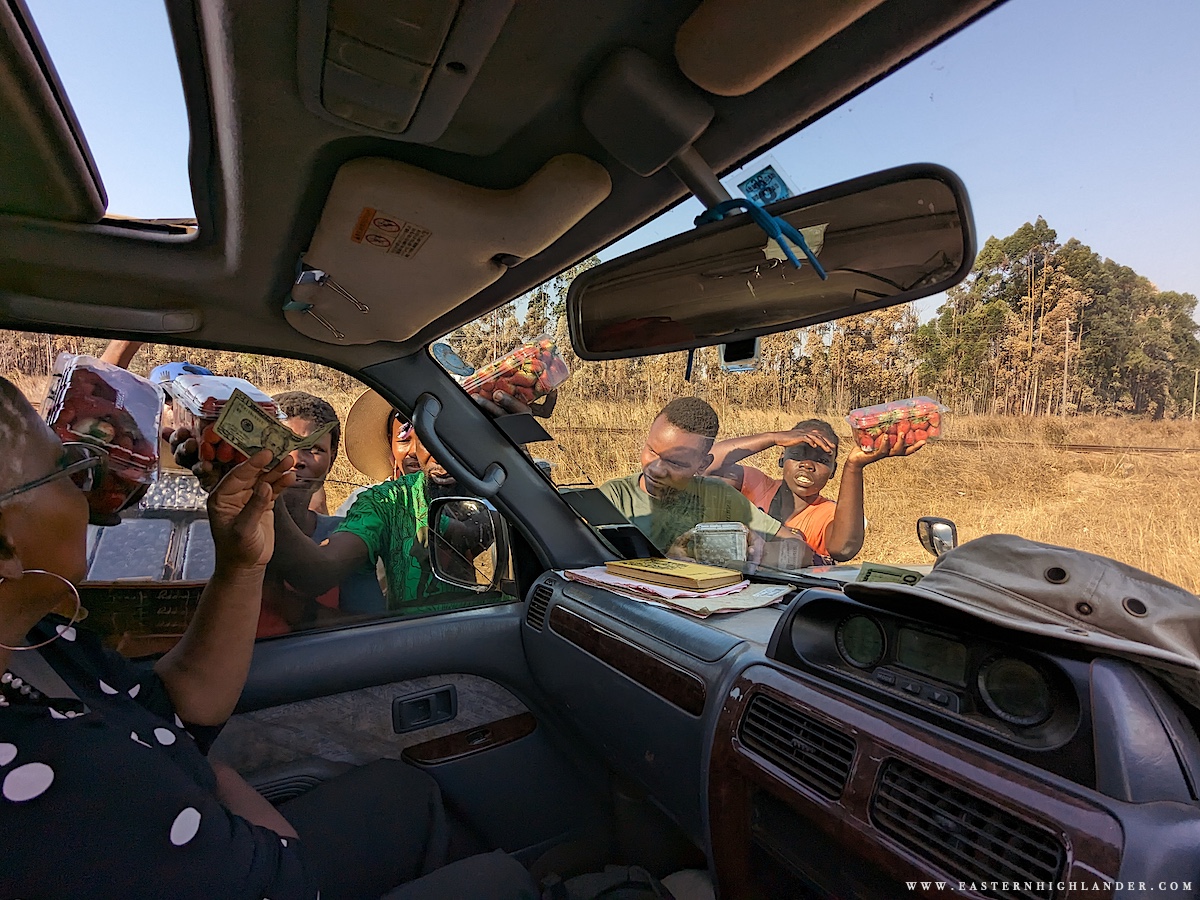 Blueberry shopping in Macheke | Eastern Highlander