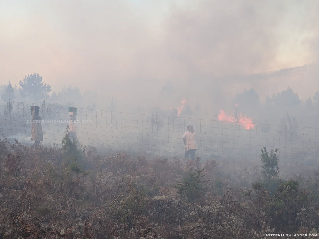 Bush fire – the big one | Eastern Highlander