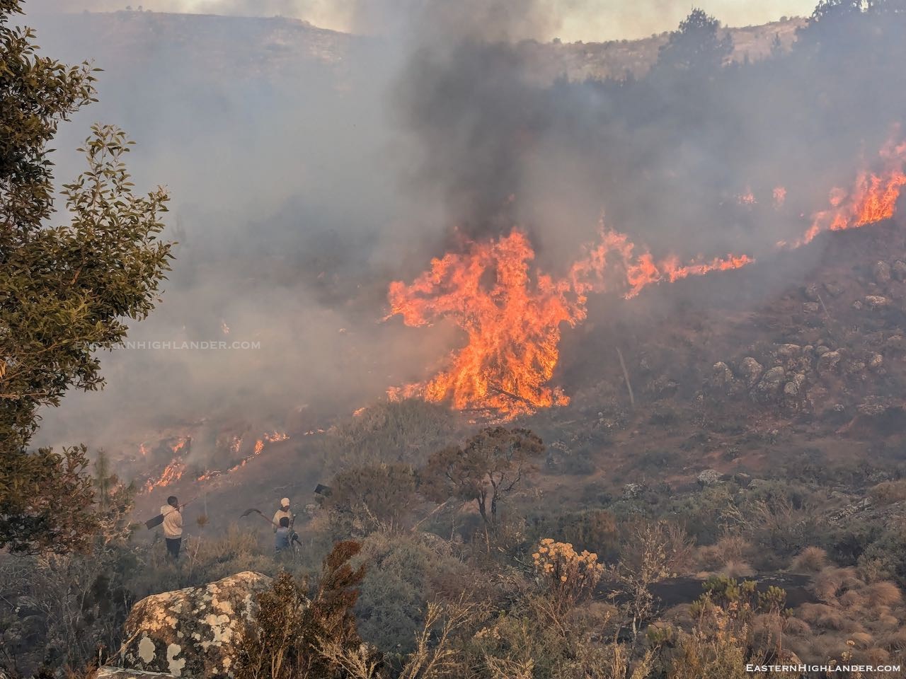Bush fire – the big one | Eastern Highlander
