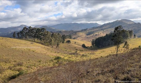 Trekking from Troutbeck to Honde Valley | Eastern Highlander